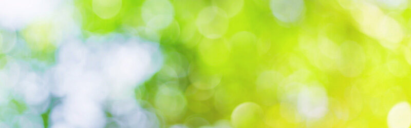 Bienestar - Masaje Tessa en Rocha