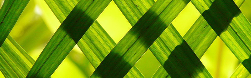 Bienestar - Masaje Tessa en Rocha